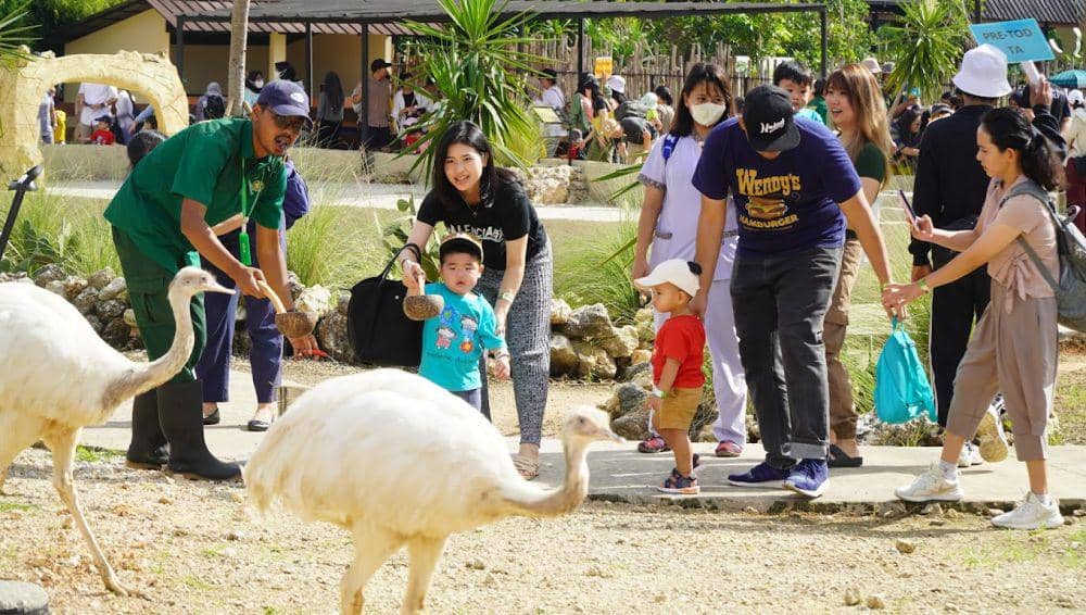 Aviary Park, Harga Tiket Masuk dan Fasilitasnya yang Lengkap | IDN Times