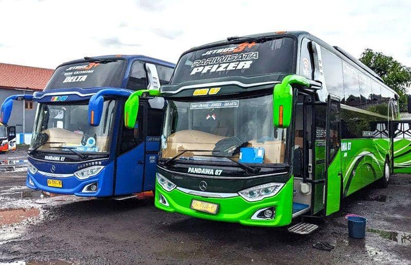 7 Rekomendasi Bus Pariwisata dengan Fasilitas Terbaik | IDN Times