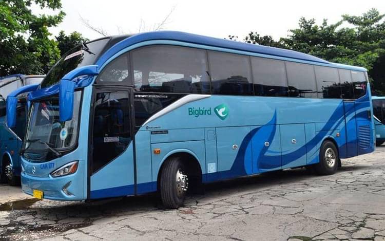 7 Rekomendasi Bus Pariwisata dengan Fasilitas Terbaik | IDN Times