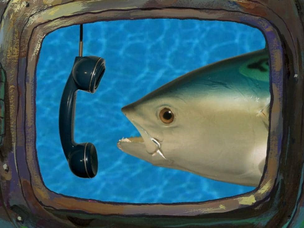 8 Fakta Realistic Fish Head, Pembaca Berita di SpongeBob | Duniaku.com