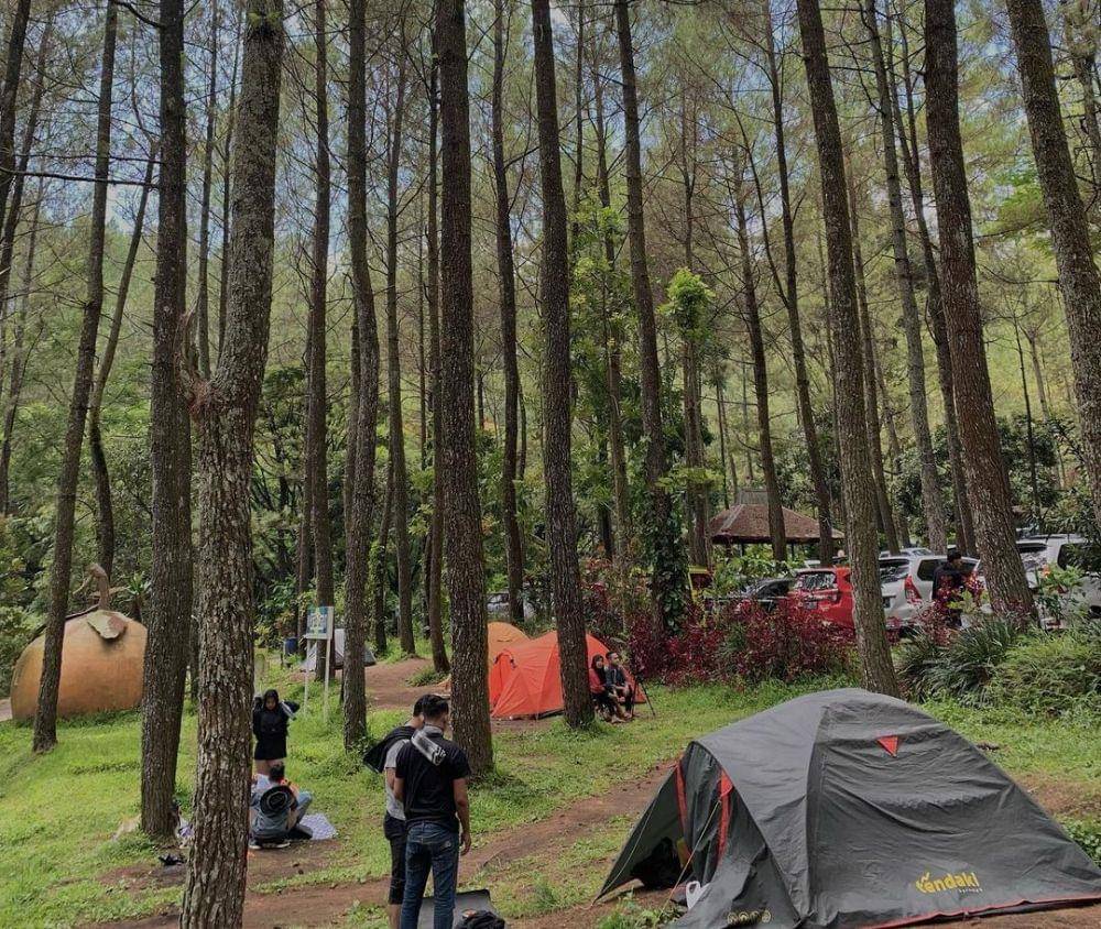 Bumi Perkemahan Bedengan Malang: Lokasi, Harga, dan Tipsnya | IDN Times