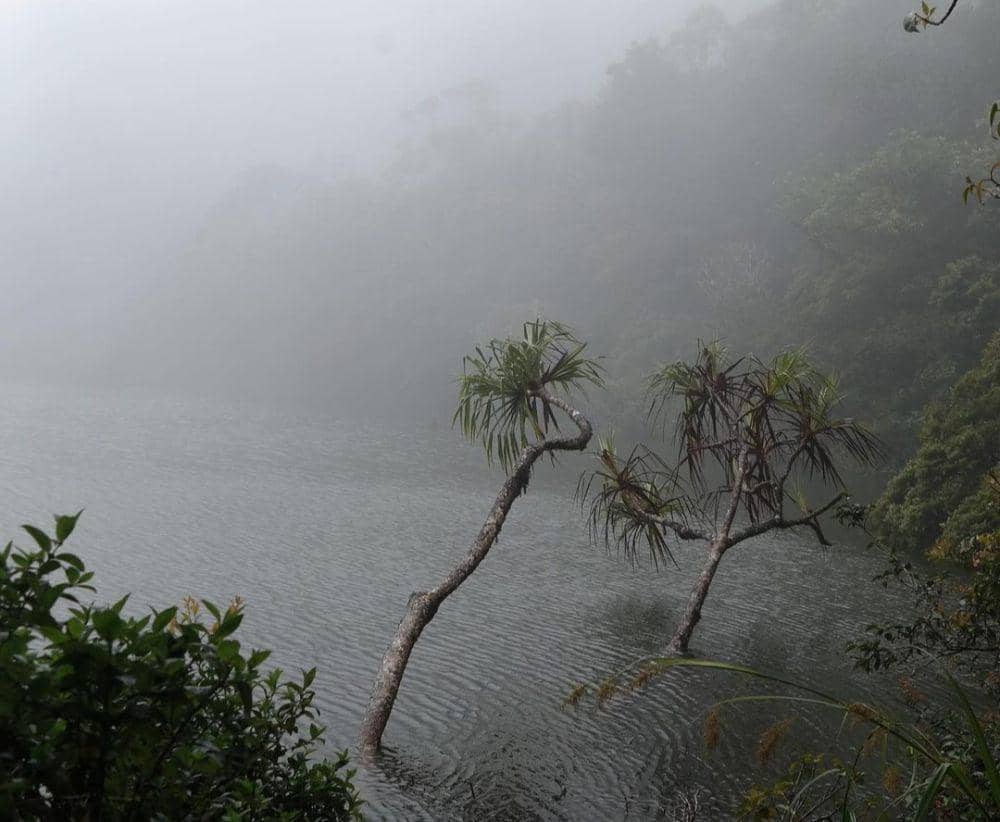 Bukit Daun Bengkulu | IDN Times