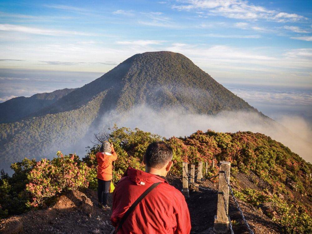 3 Cara Menuju Gunung Gede dari Jakarta Naik Kendaraan Umum | IDN Times