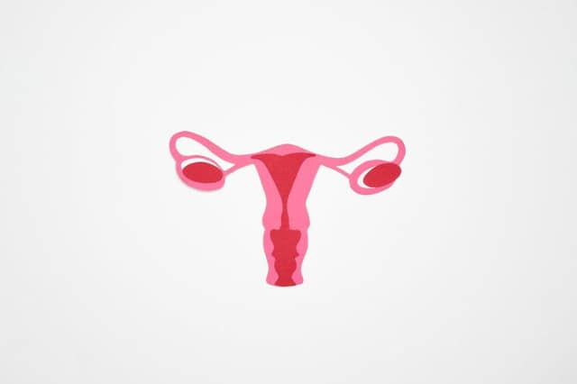 Fibroid Rahim atau Mioma Uteri: Penyebab, Gejala, Pengobatan | IDN Times