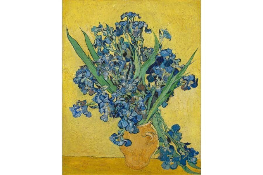 7 Lukisan Vincent van Gogh Paling Terkenal dan Maknanya | IDN Times