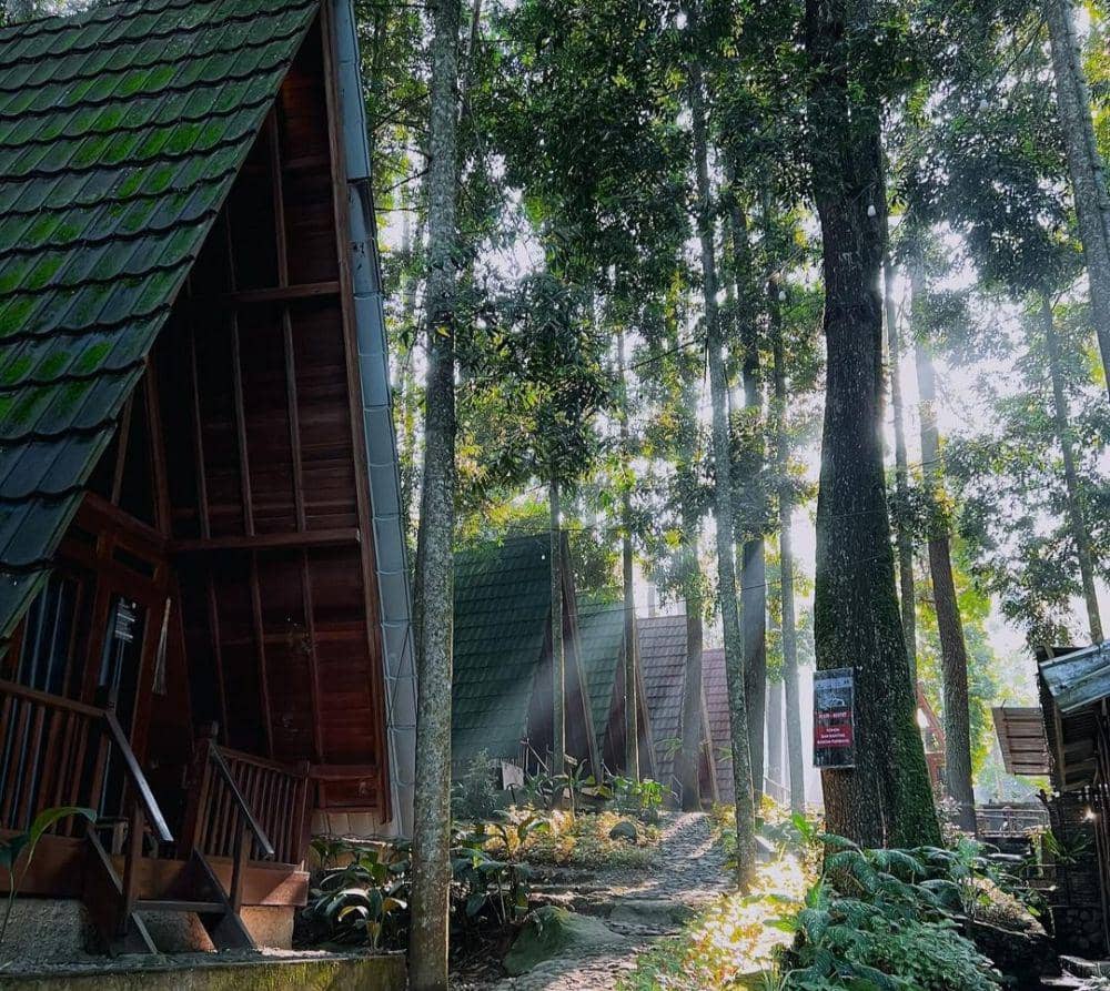 Wonderful Citamiang Bogor: Lokasi, Rute, Harga, dan Tipsnya | IDN Times