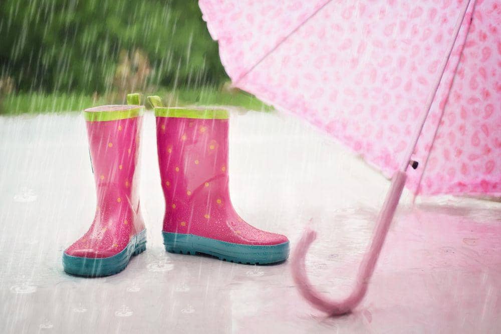 9 Peran Angin bagi Kehidupan di Bumi, Ada Peran Positif dan | IDN Times
