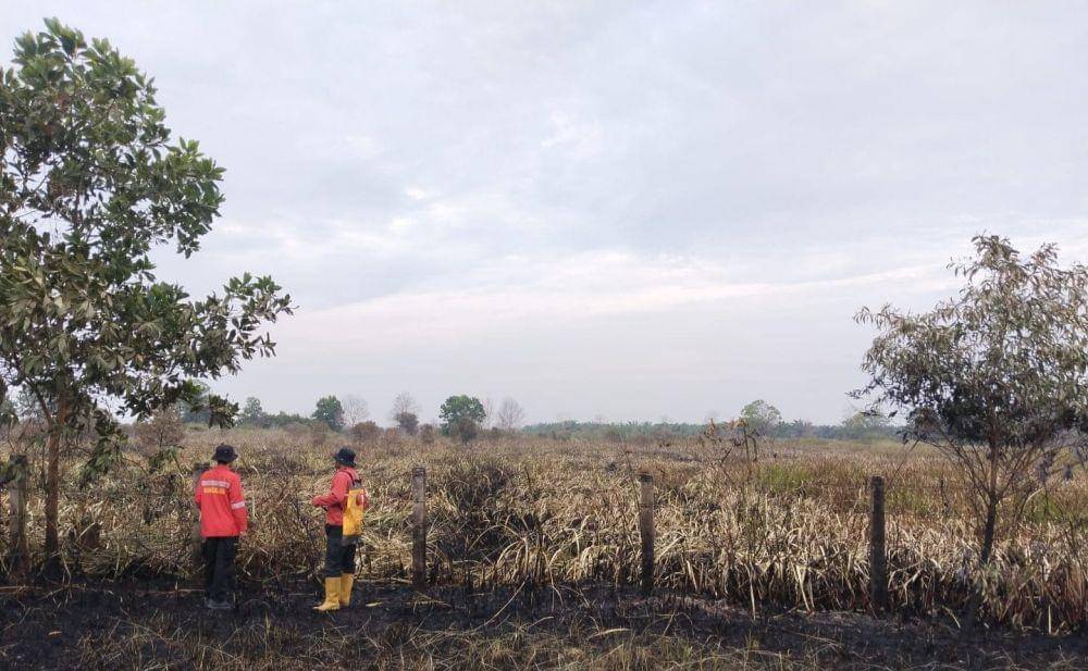 Kemenko PMK: 37 Daerah Masih Berstatus Tertinggal | IDN Times