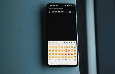 60 Arti Emoji WA Terlengkap, Wajah Meleleh hingga Mawar Layu | IDN Times