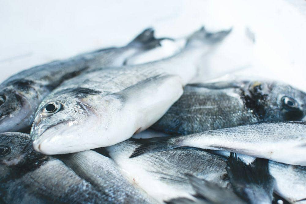 5 Fakta Menarik dari Ikan Cod, Bisa Berkamuflase! | IDN Times
