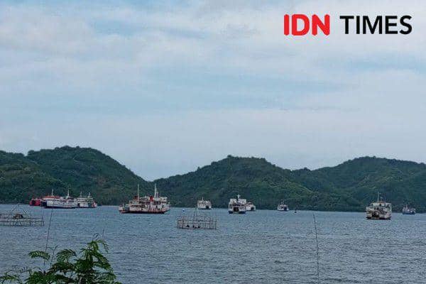 Jadwal Lengkap Kapal Feri Rute Lombok-Situbondo Rabu 25 Maret 2026 ...