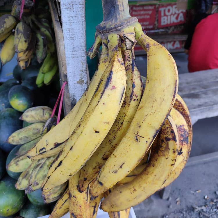 Pisang Tanduk Ciri Manfaat dan Kegunaannya | IDN Times