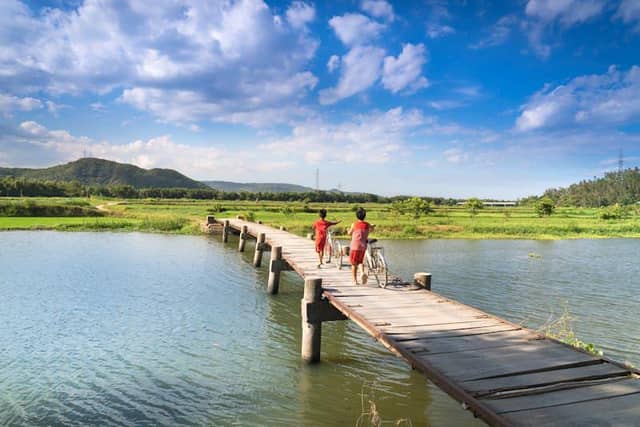 5 Jenis Kawasan Hutan Konservasi di Indonesia | IDN Times