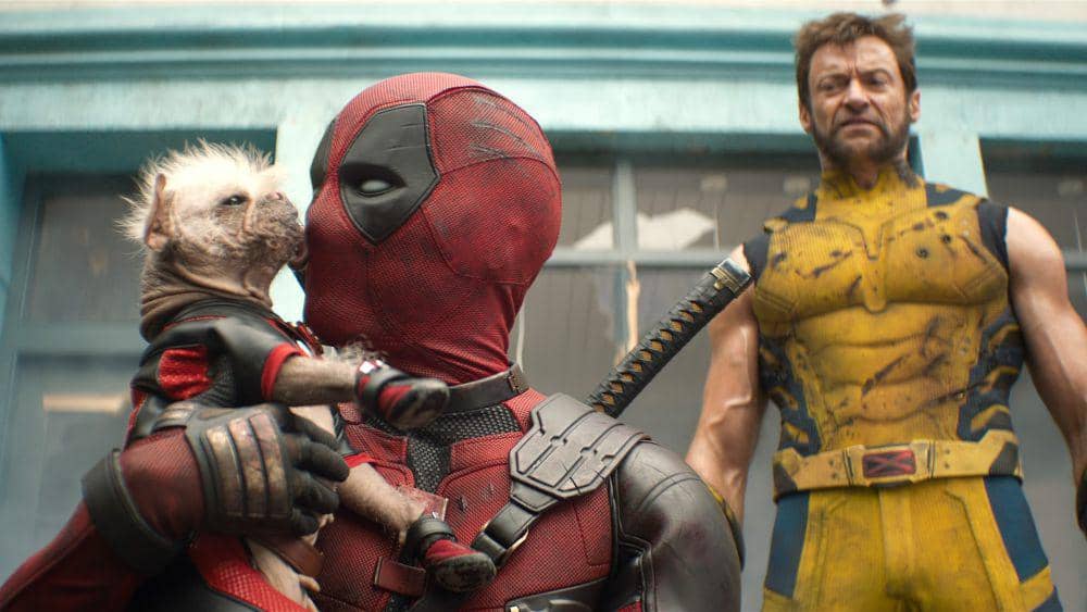 5 Alasan Deadpool dan Wolverine Duo Superhero Terbaik di MCU | IDN Times