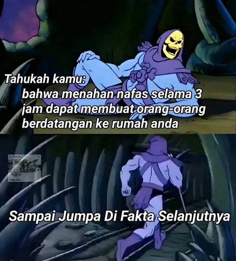 8 Meme Fakta Kocak yang Bikin Ngakak, Kamu Percaya? | IDN Times Sulsel