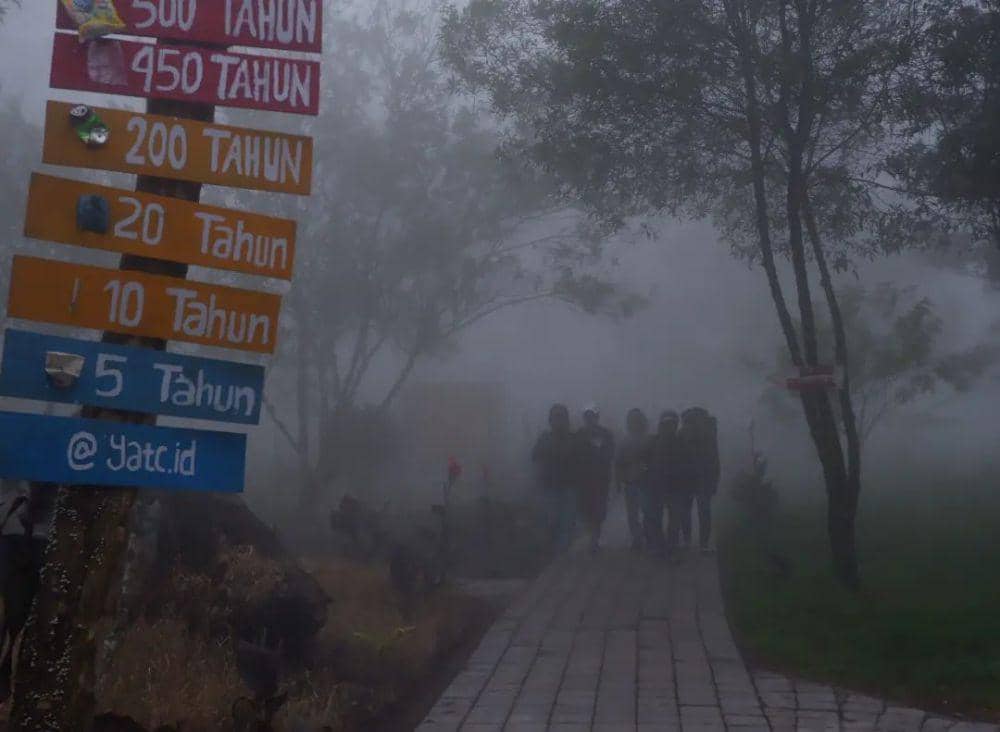 Pesona Ranu Regulo, Lokasi, Rute, Harga Tiket, dan Tips | IDN Times Jatim