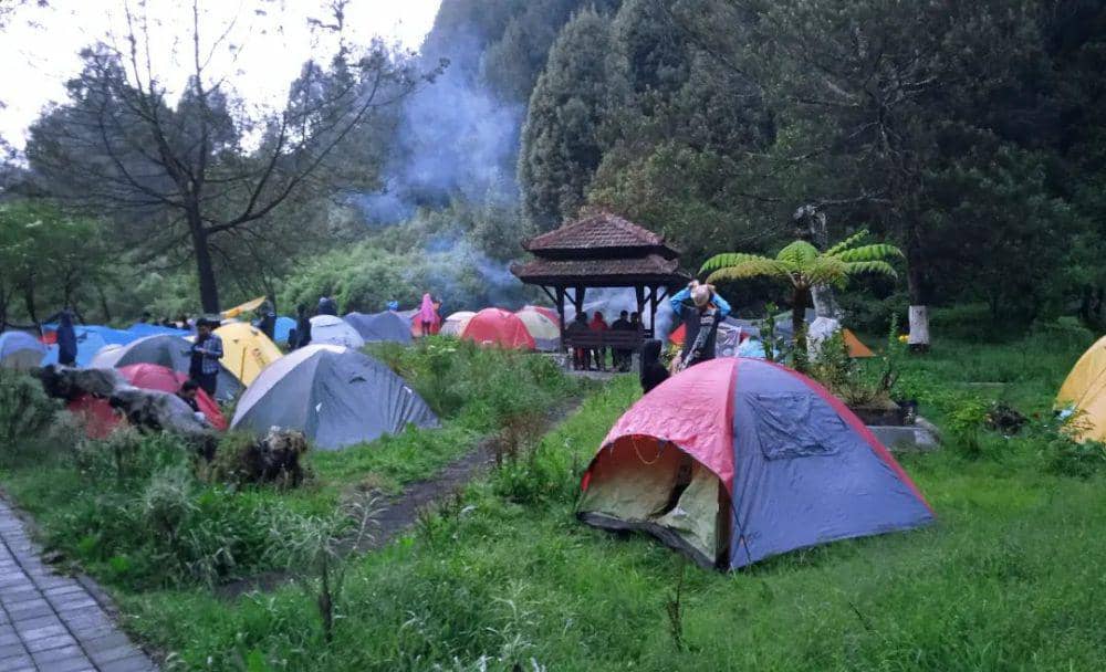 Pesona Ranu Regulo, Lokasi, Rute, Harga Tiket, dan Tips | IDN Times Jatim