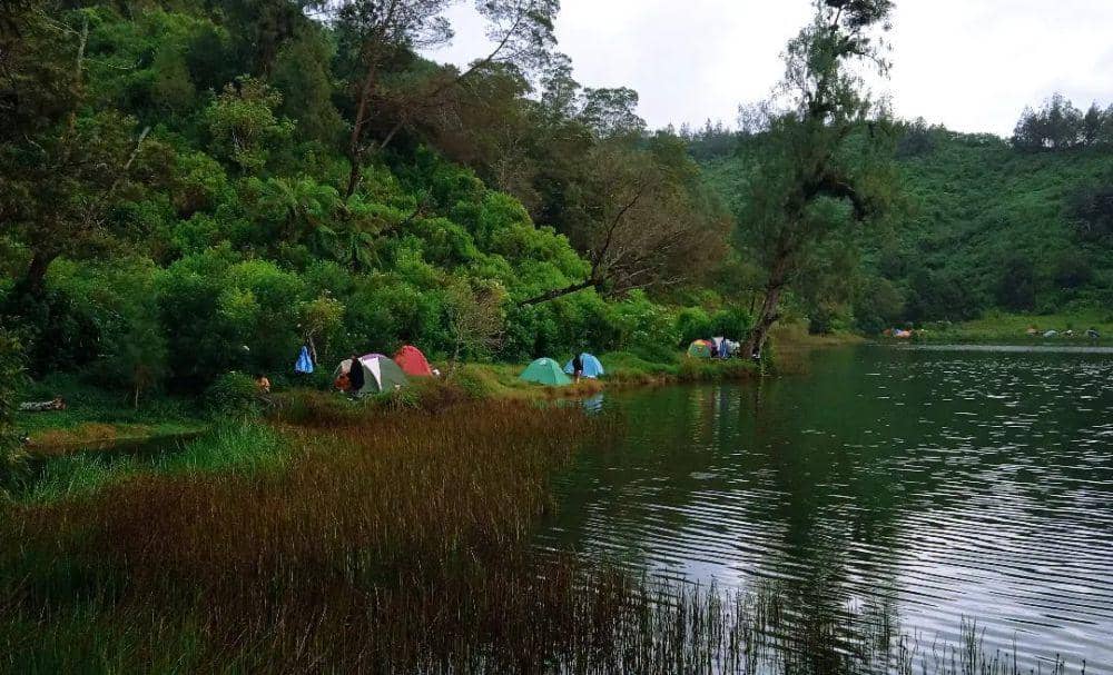 Pesona Ranu Regulo, Lokasi, Rute, Harga Tiket, dan Tips | IDN Times Jatim