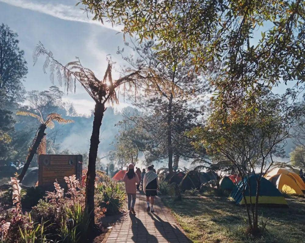 Pesona Ranu Regulo, Lokasi, Rute, Harga Tiket, dan Tips | IDN Times Jatim