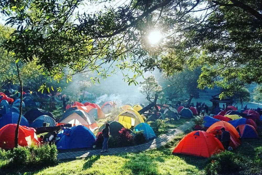 Pesona Ranu Regulo, Lokasi, Rute, Harga Tiket, dan Tips | IDN Times Jatim