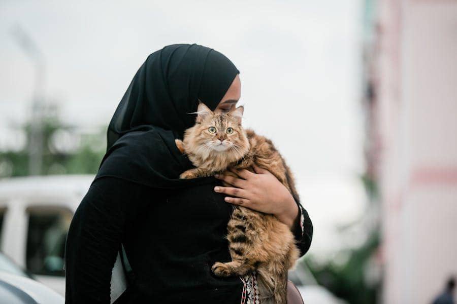 6 Fakta Paw Kucing yang Menarik Diketahui oleh Cat Lover | IDN Times