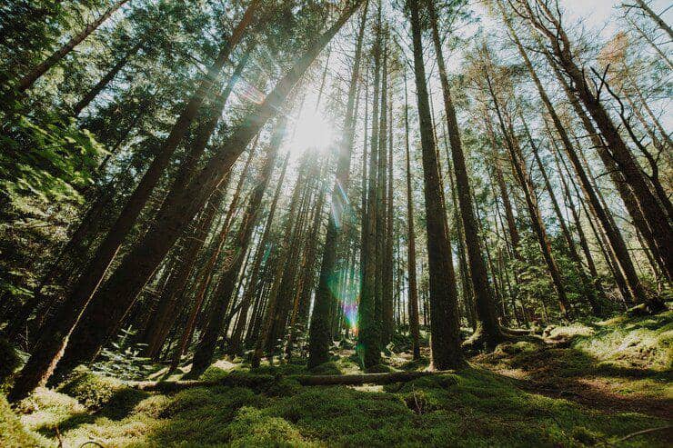 20 Tempat Wisata Pacitan Paling Favorit dan Wajib Dikunjung | IDN Times