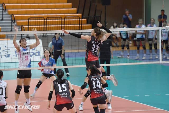 Jadwal KOVO Cup 2024, Ada Red Sparks dan Megawati | IDN Times