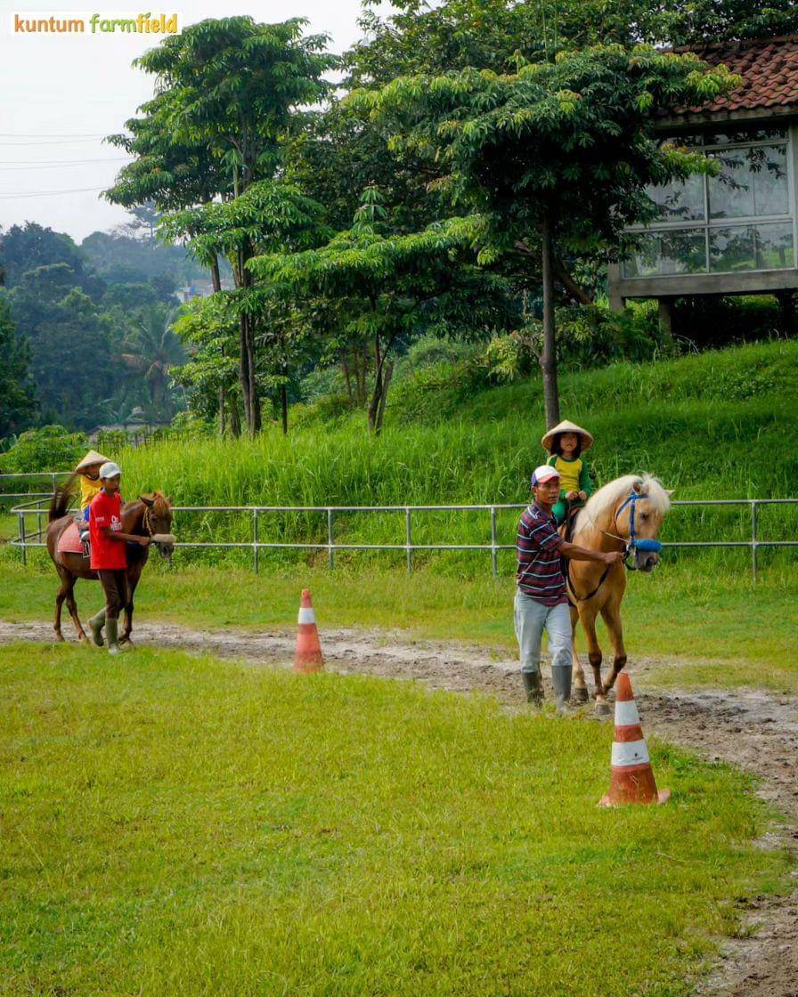 Wisata Kuntum Farmfield Bogor: Lokasi, Rute, Harga, Tips | IDN Times