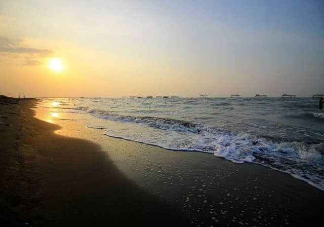 Mageri Segoro Lawan Abrasi Pantai Semarang | IDN Times Jateng