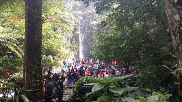 Curug Cilember Bogor: Lokasi, Harga Tiket, dan Wahana Wisata | IDN Times