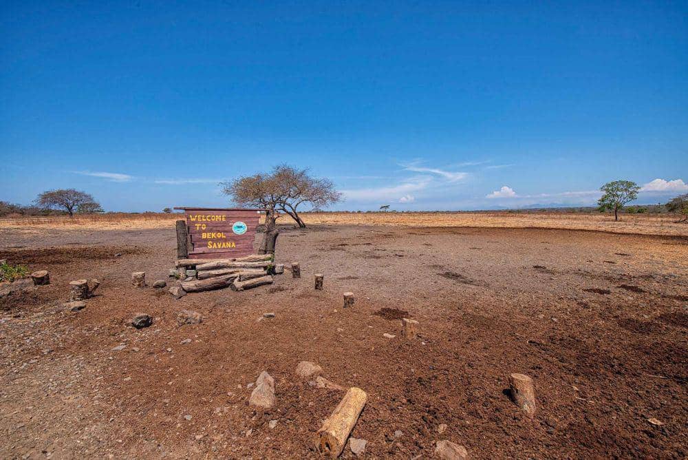 5 Aktivitas Seru di Taman Nasional Baluran | IDN Times