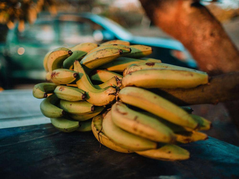 8 Jenis Pisang Terbaik untuk Dijadikan Keripik yang Lezat | IDN Times