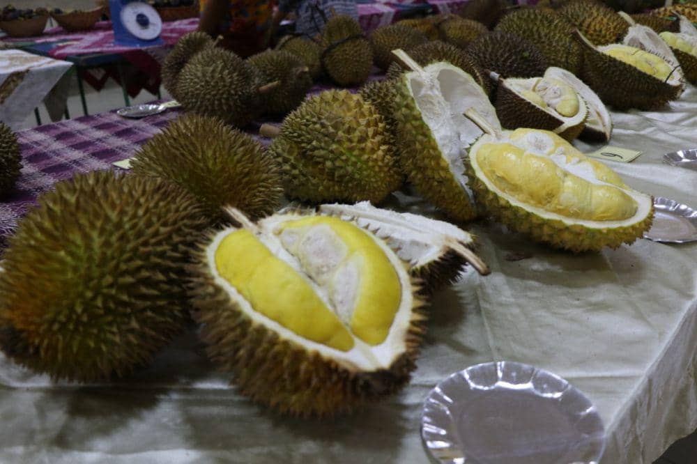 10 Jenis Durian Enak Paling Populer | IDN Times