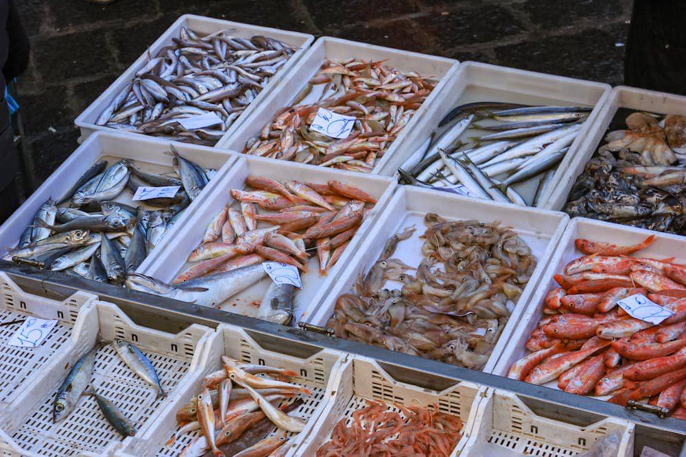 5 Tempat Makan Seafood di Muara Angke yang Paling Hits | IDN Times