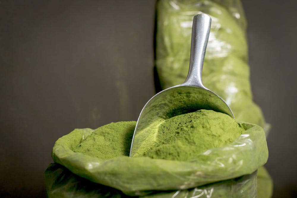 5 Kesalahan yang Bikin Bolu Pisang Matcha Jadi Bantat dan Pahit | IDN Times