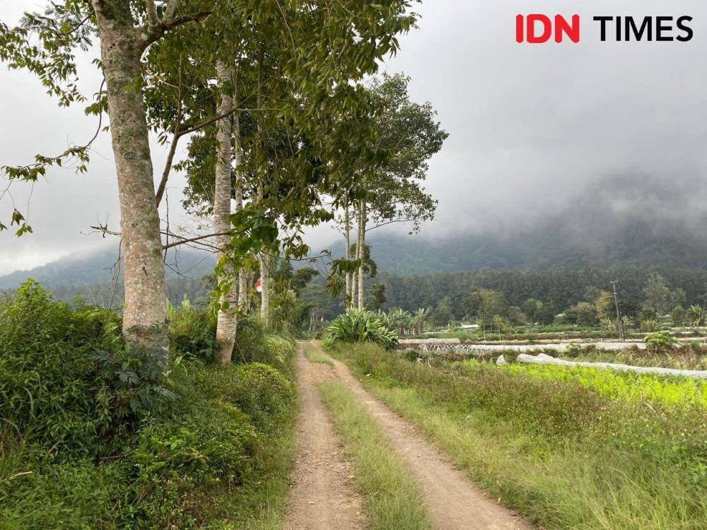 Cara Membedakan RTH Publik dan RTH Privat | IDN Times Bali