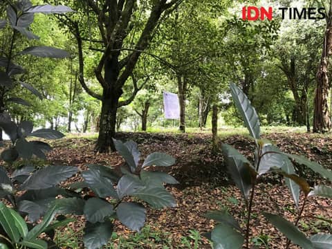 Cara Membedakan RTH Publik dan RTH Privat | IDN Times Bali