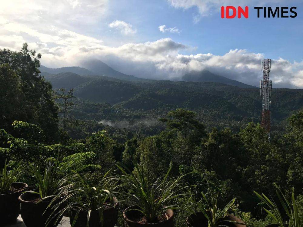 Cara Membedakan RTH Publik dan RTH Privat | IDN Times Bali