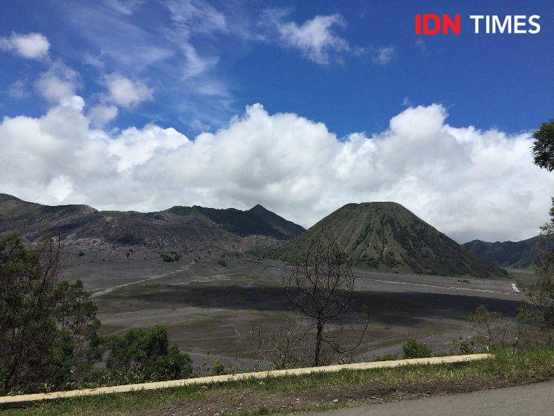 Panduan Liburan ke Gunung Bromo: Lokasi, Rute, HTM, dan Tips | IDN Times