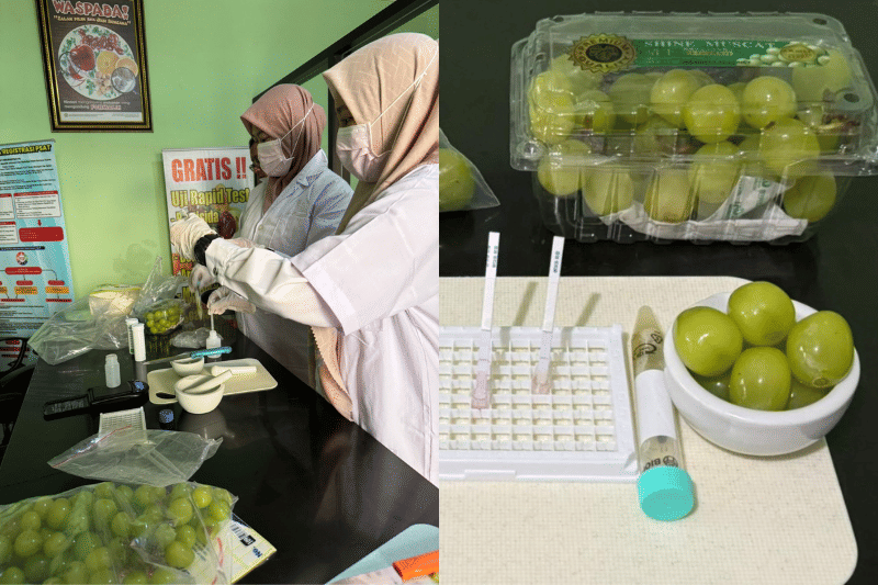 Hasil Uji Bapanas: Anggur Shine Muscat Aman Konsumsi | IDN Times