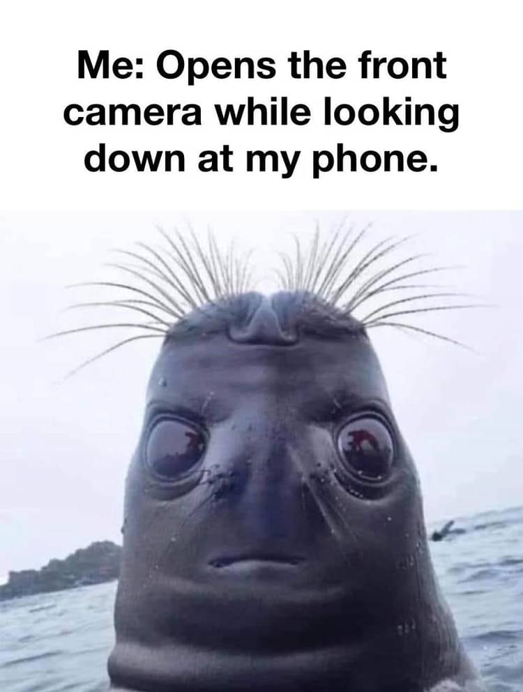 7 Meme Kamera Depan, Berasa Jump Scare Tiba-tiba Kebuka | IDN Times