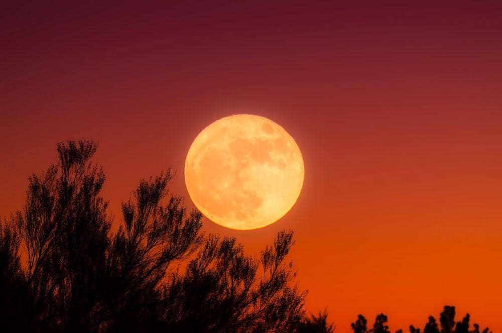 Kapan Puncak Cold Moon 2025? Cek Waktu dan Cara Mengamatinya | IDN Times