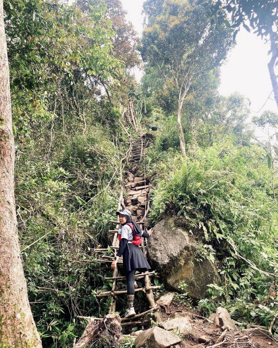 Informasi Wisata Gunung Butik Bogor | IDN Times