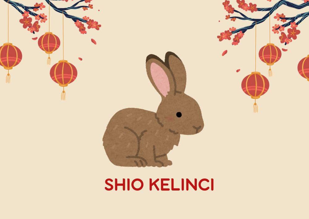 12 Ramalan Shio 2025, Tahunnya Ular Kayu yang Harus Waspada | IDN Times