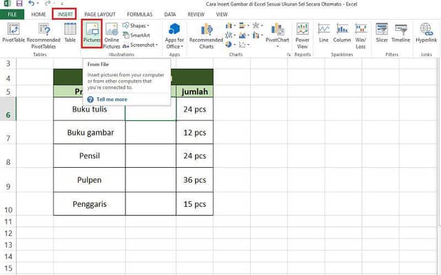 Cara Insert Gambar Excel Sesuai Ukuran Sel Secara Otomatis | IDN Times