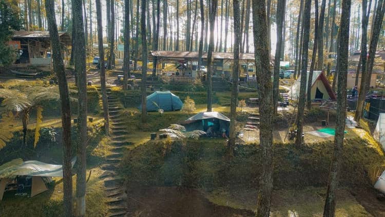 6 Tempat Glamping di Cikole yang Asyik untuk Refreshing | IDN Times