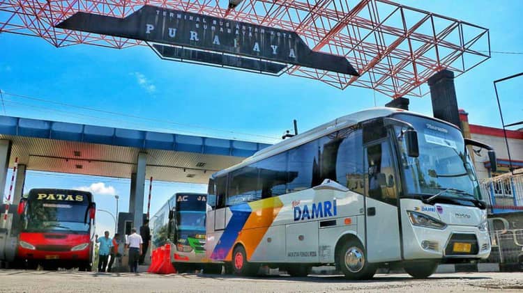 Jadwal, Rute, dan Tarif Bus DAMRI dari Bandara Juanda | IDN Times Jatim