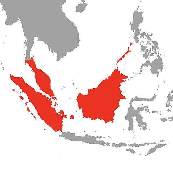 5 Fakta Ular Kobra Sumatra, Mampu Semburkan Bisa Berbahaya | IDN Times