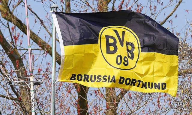 Pemakai Nomor Punggung 14 Dortmund sebelum Maximilian Beier | IDN Times