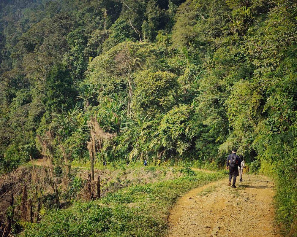 5 Persiapan sebelum Hiking ke Desa Cisadon Bogor agar Aman | IDN Times